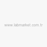 LP ITALIANA SPA