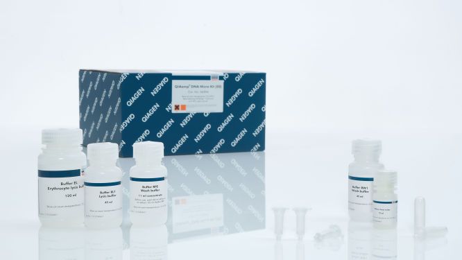 Qiagen QIAamp DNA Micro Kit (50) - labmarket.com.tr