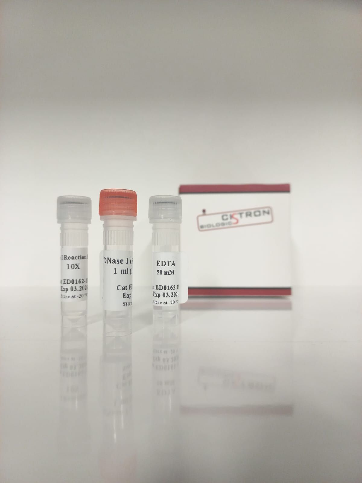 DNase I 1 mg/ml 1 ml (RNase-free) - labmarket.com.tr