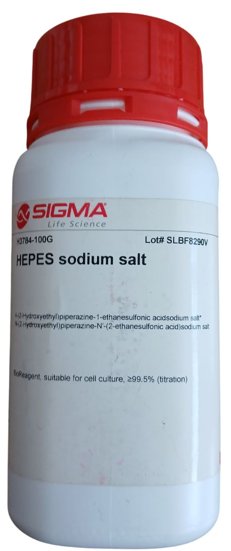 HEPES sodium salt H3784-100G - labmarket.com.tr