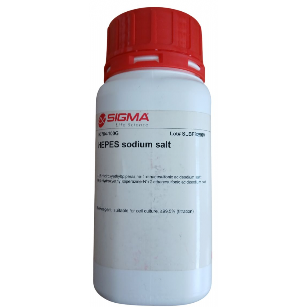 HEPES sodium salt H3784-100G - labmarket.com.tr