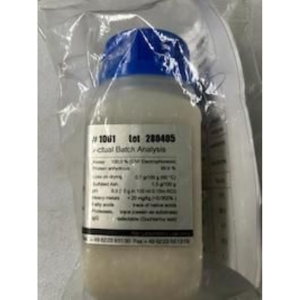 Bovine Serum Albumin BSA Fraction V 100g - labmarket.com.tr