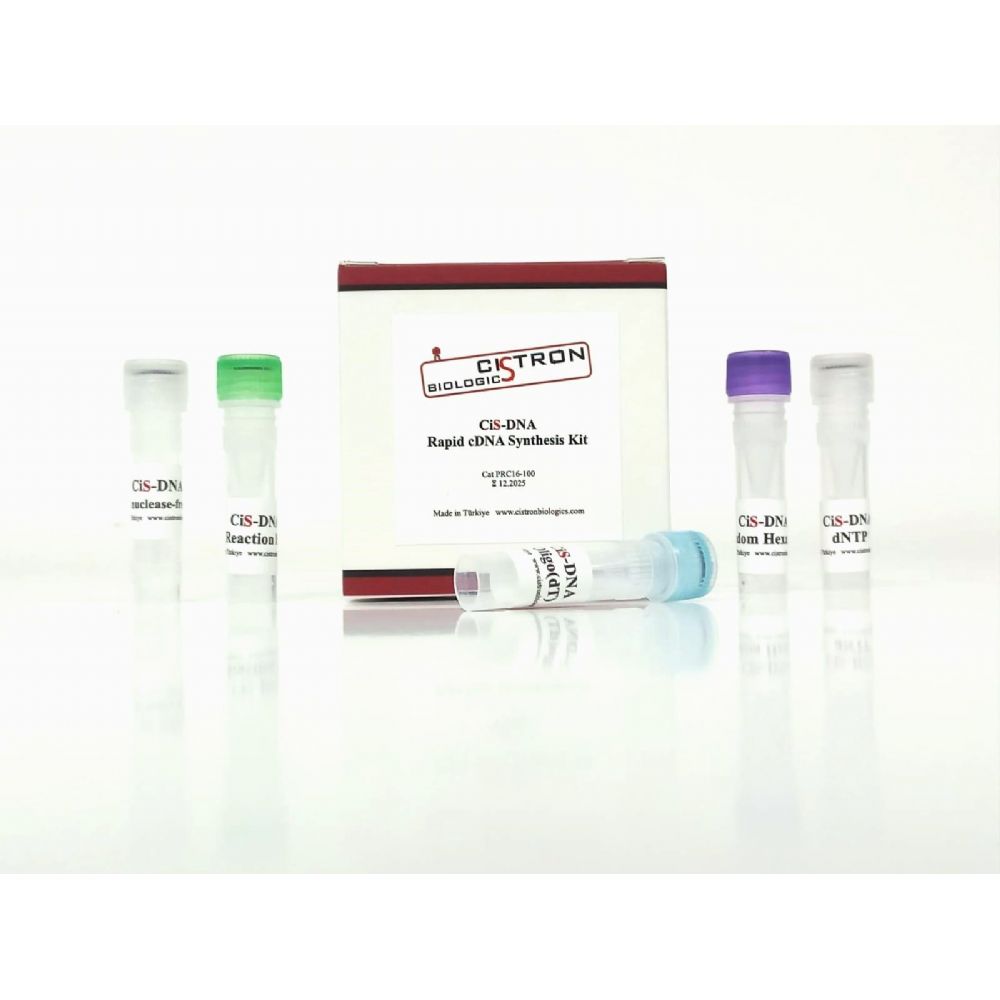 Rapid cDNA synthesis kit (50 rxn) - labmarket.com.tr
