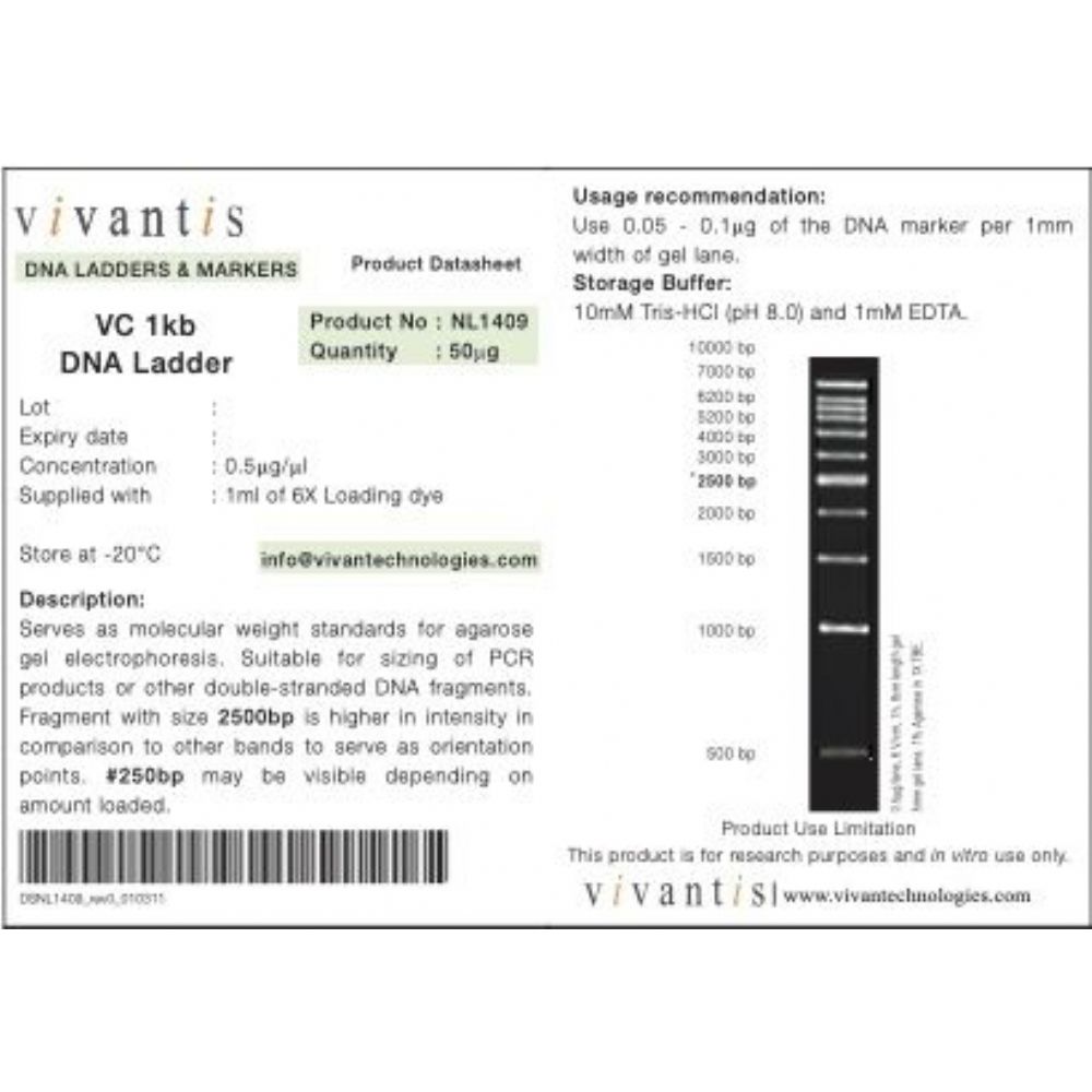 DNA Ladder 1kb 50µg - labmarket.com.tr