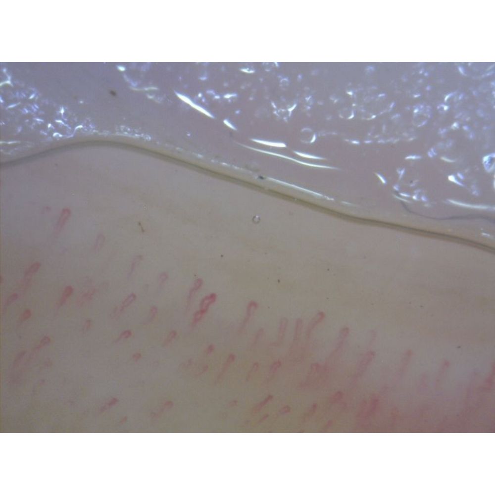 MEDL4N Dino-Lite Pro Capillary Scope 200 Digital Mikroskop - labmarket ...