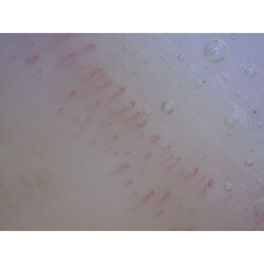 MEDL4N Dino-Lite Pro Capillary Scope 200 Digital Mikroskop - labmarket ...